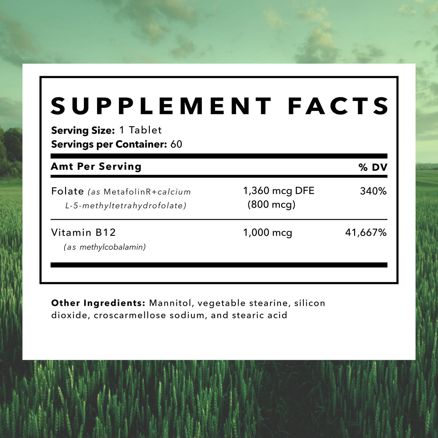 Methyl Factors (MTHFR and COMT Support for Kids & Adults) – Dr. Green Life