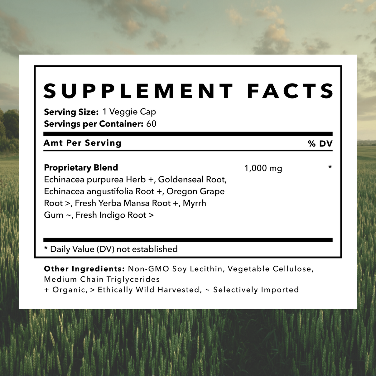 Nature's Biotic™ (Professional Strength Vegan Liquid Phyto Capsules ...