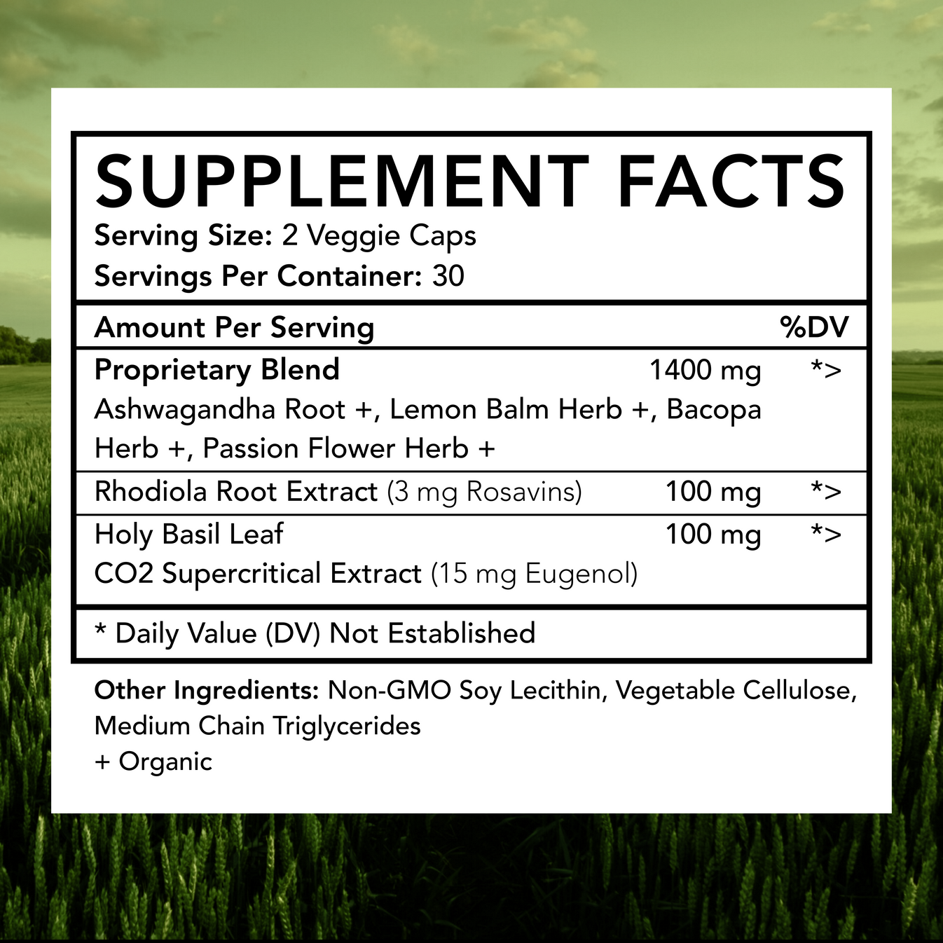 Take A Chill Pill™ (Calm & Focus) – Dr. Green Life