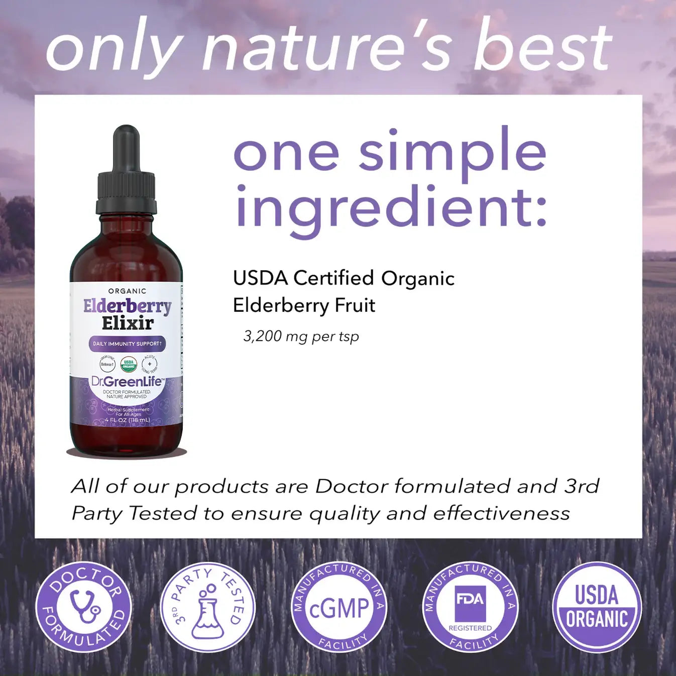USDA Organic Elderberry Elixir (Infants, Kids & Adults) – Dr. Green Life